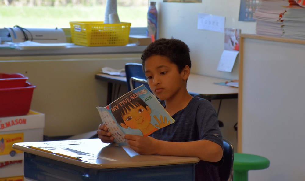 Elementary School Libraries Past Present Future A W Becker 